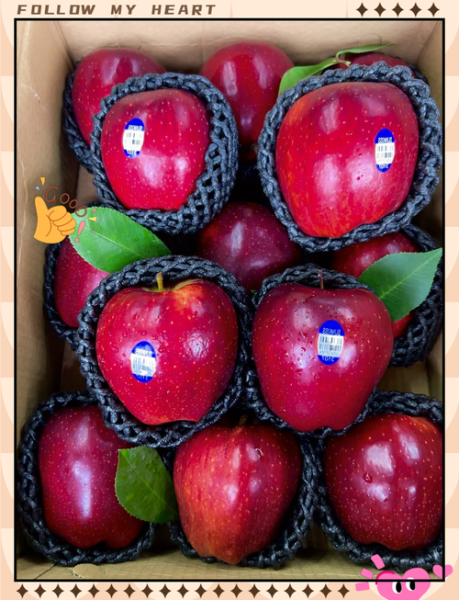 进口蛇果多少钱一斤_进口蛇果价格为什么差距大-第2张图片-山城妙识 进口蛇果多少钱一斤_进口蛇果价格为什么差距大-第2张图片-山城妙识