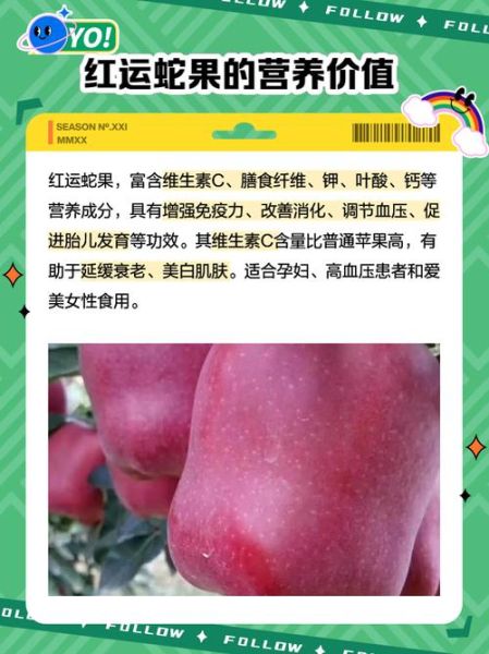 进口蛇果多少钱一斤_进口蛇果价格为什么差距大-第3张图片-山城妙识 进口蛇果多少钱一斤_进口蛇果价格为什么差距大-第3张图片-山城妙识