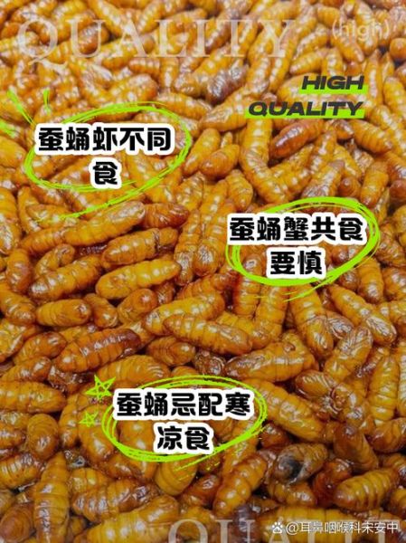 蚕蛹哪些人不能吃_蚕蛹禁忌人群有哪些-第3张图片-山城妙识 蚕蛹哪些人不能吃_蚕蛹禁忌人群有哪些-第3张图片-山城妙识
