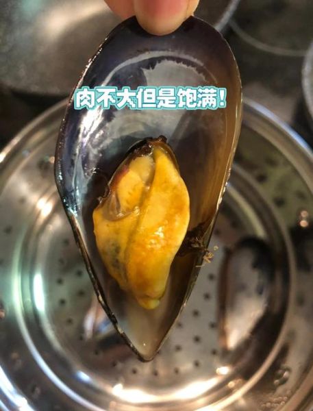 青口贝怎么清洗_青口贝蒸多久能熟-第2张图片-山城妙识 青口贝怎么清洗_青口贝蒸多久能熟-第2张图片-山城妙识