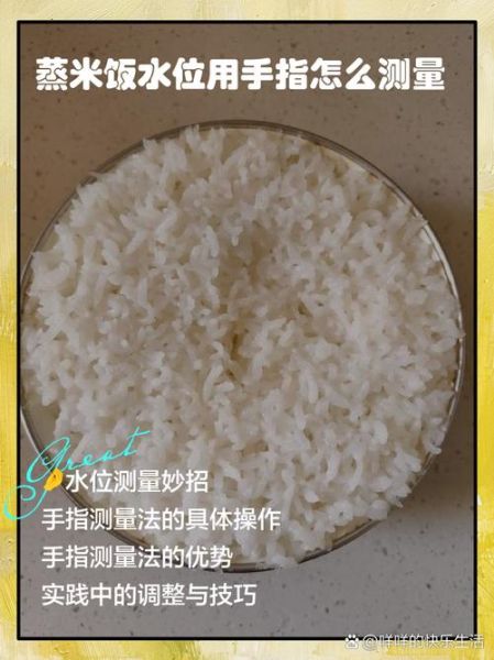 蒸米饭水米比例是多少_电饭煲水量怎么加-第1张图片-山城妙识 蒸米饭水米比例是多少_电饭煲水量怎么加-第1张图片-山城妙识