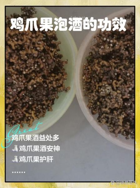 鸡爪梨泡酒怎么做_鸡爪梨泡酒的功效与禁忌-第3张图片-山城妙识