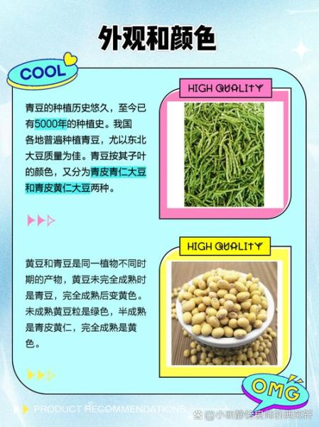 青豆的营养价值与功效_青豆怎么吃最健康-第2张图片-山城妙识