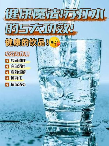 苏打水是什么_苏打水的作用与功效-第1张图片-山城妙识