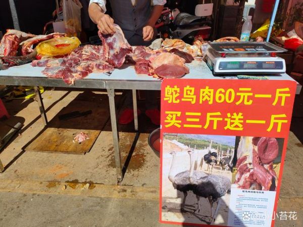 鸵鸟肉多少钱一斤_鸵鸟肉有哪些好处-第1张图片-山城妙识