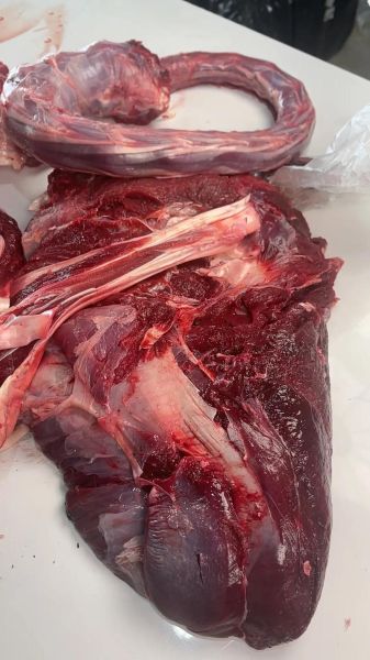 鸵鸟肉多少钱一斤_鸵鸟肉有哪些好处-第3张图片-山城妙识