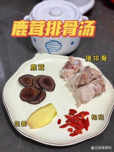 鹿肉汤怎么炖好喝_鹿肉汤的家常做法-第1张图片-山城妙识