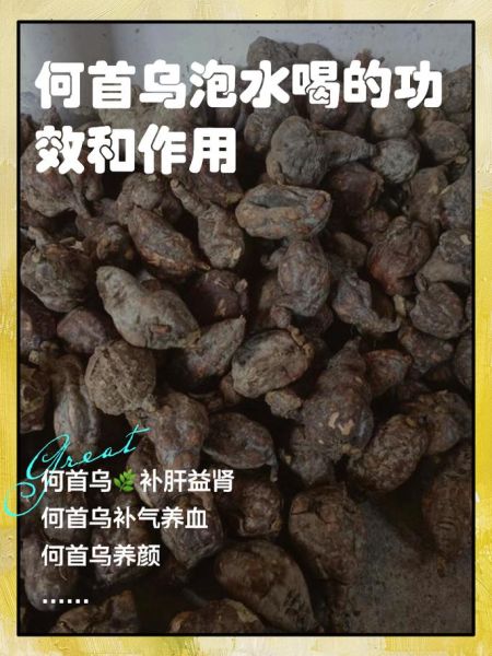 白首乌的功效与作用_白首乌怎么吃最好-第2张图片-山城妙识