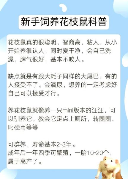 花枝鼠怎么养_花枝鼠饲养注意事项-第1张图片-山城妙识