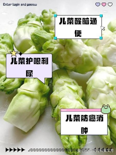 儿菜什么人不宜吃_儿菜禁忌人群有哪些-第1张图片-山城妙识