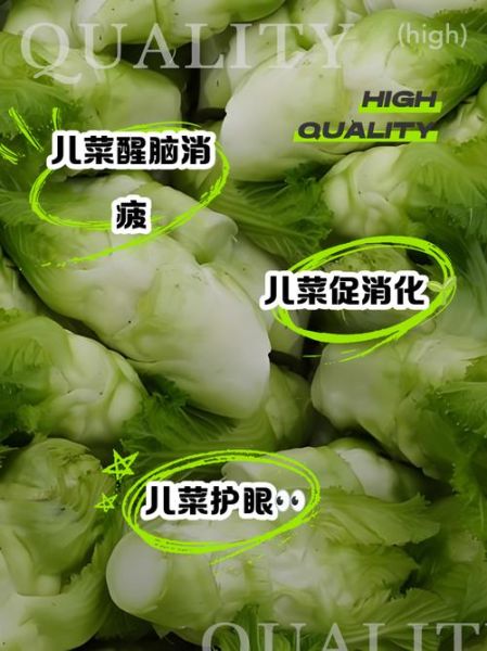 儿菜什么人不宜吃_儿菜禁忌人群有哪些-第3张图片-山城妙识