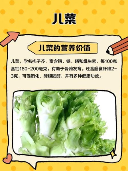 儿菜什么人不宜吃_儿菜禁忌人群有哪些-第2张图片-山城妙识