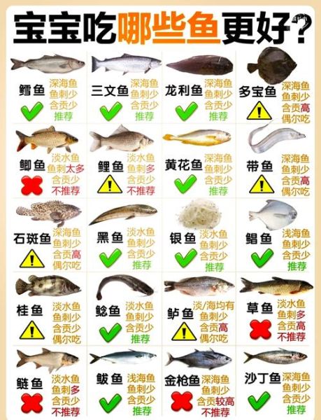 鳕怎么读_鳕鱼的正确发音-第1张图片-山城妙识 鳕怎么读_鳕鱼的正确发音-第1张图片-山城妙识