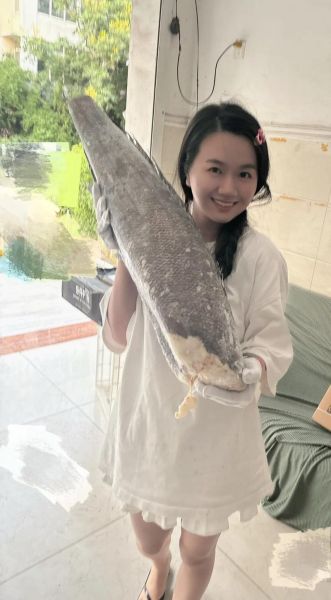 鳕怎么读_鳕鱼的正确发音-第2张图片-山城妙识 鳕怎么读_鳕鱼的正确发音-第2张图片-山城妙识