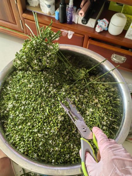 韭菜花怎么腌制_韭菜花腌制方法步骤-第1张图片-山城妙识