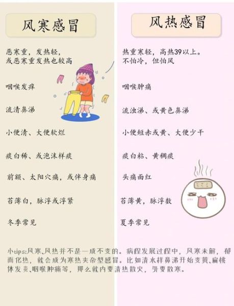 风寒感冒吃什么食物好_风寒感冒饮食禁忌-第2张图片-山城妙识