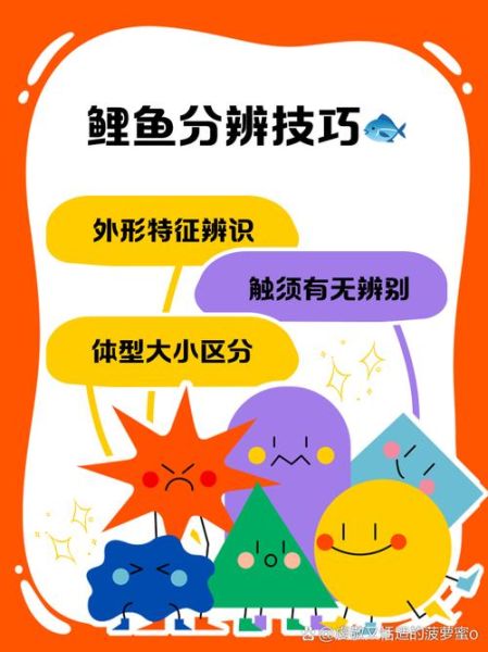 鲤鱼长什么样子_如何分辨鲤鱼真假-第1张图片-山城妙识 鲤鱼长什么样子_如何分辨鲤鱼真假-第1张图片-山城妙识