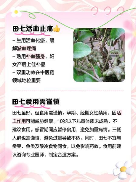 田七能长高吗_田七的功效与作用对身高影响-第1张图片-山城妙识 田七能长高吗_田七的功效与作用对身高影响-第1张图片-山城妙识