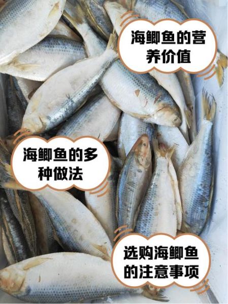 海鲫鱼刺多吗_适合宝宝吃吗-第1张图片-山城妙识