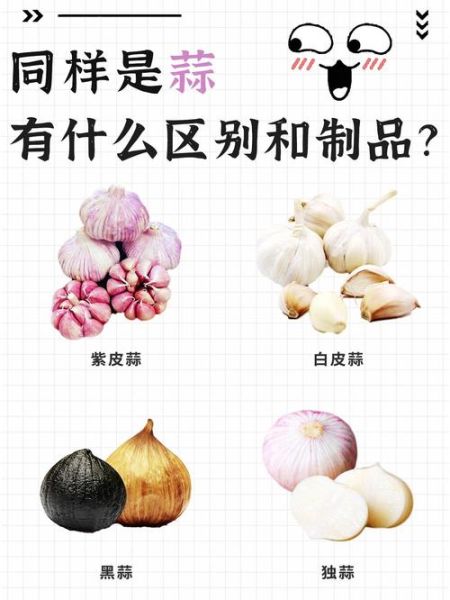 大蒜头和大蒜有什么区别_哪个更好吃-第2张图片-山城妙识