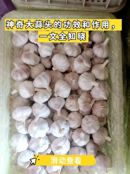 大蒜头和大蒜有什么区别_哪个更好吃-第1张图片-山城妙识