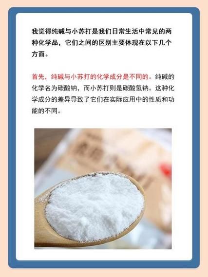 碳酸钠俗称是什么_纯碱与苏打区别在哪-第1张图片-山城妙识