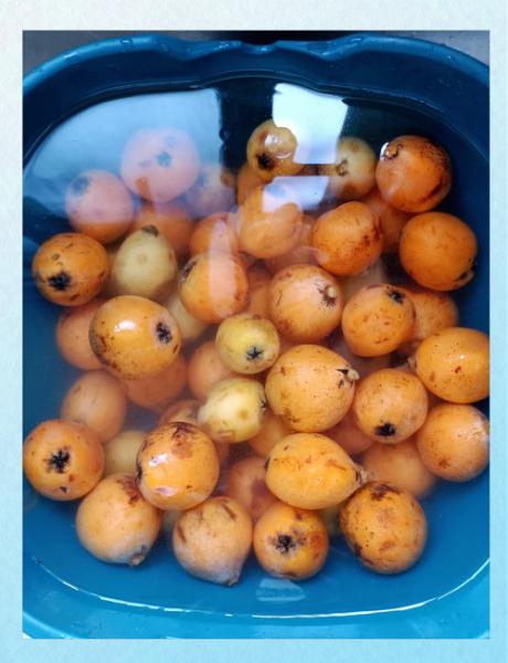 枇杷膏保质期多久_自制枇杷膏能放多久-第3张图片-山城妙识