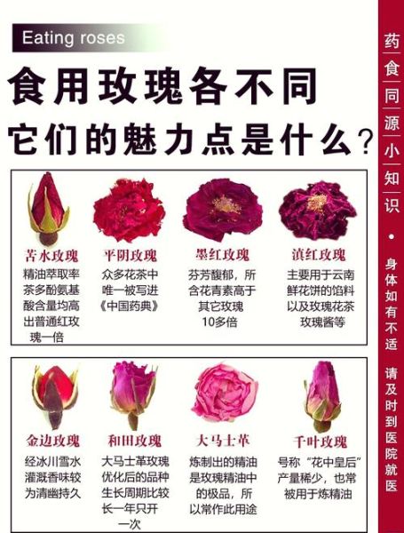 食用玫瑰花有哪些功效_如何挑选优质食用玫瑰-第1张图片-山城妙识 食用玫瑰花有哪些功效_如何挑选优质食用玫瑰-第1张图片-山城妙识