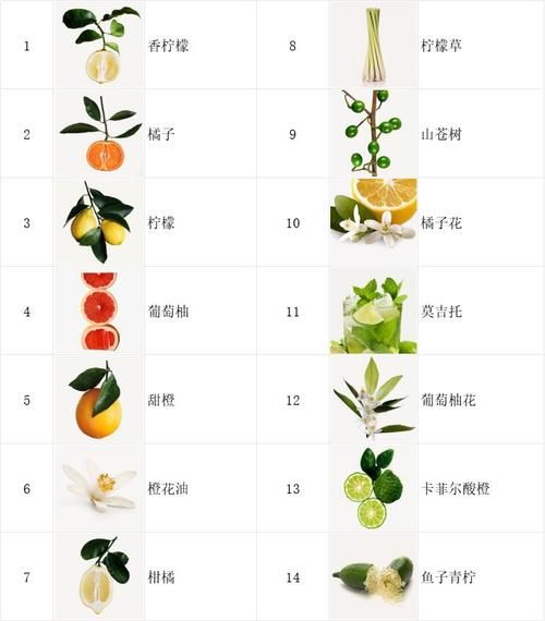 香精香料有哪些种类_如何安全使用香精香料-第3张图片-山城妙识