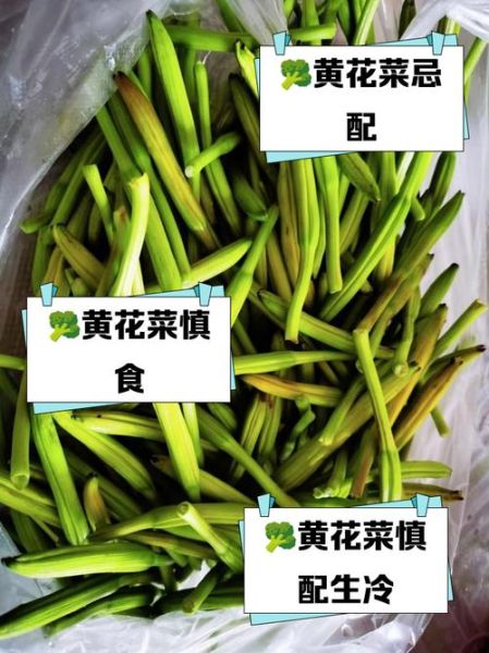 鲜黄花菜怎么处理才能吃_鲜黄花菜焯水多久最安全-第2张图片-山城妙识