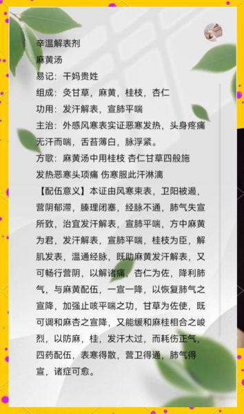 麻黄汤方歌怎么背_麻黄汤组成用量是多少-第3张图片-山城妙识 麻黄汤方歌怎么背_麻黄汤组成用量是多少-第3张图片-山城妙识