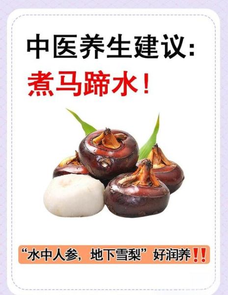 马蹄水可以天天喝吗_马蹄水的功效与作用-第2张图片-山城妙识 马蹄水可以天天喝吗_马蹄水的功效与作用-第2张图片-山城妙识