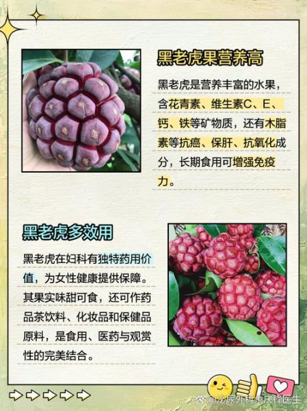 黑老虎的功效与作用_黑老虎怎么吃效果最好-第2张图片-山城妙识