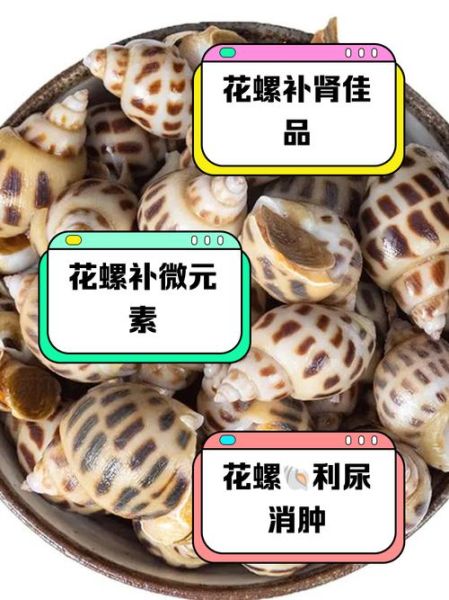 花螺煮多久杀死寄生虫_花螺煮几分钟最安全-第2张图片-山城妙识 花螺煮多久杀死寄生虫_花螺煮几分钟最安全-第2张图片-山城妙识