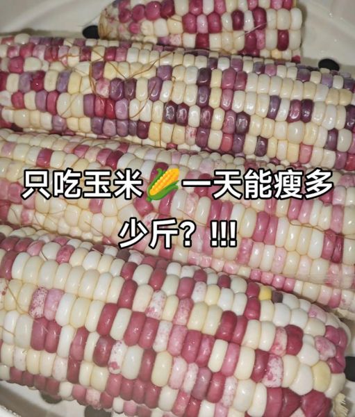 三天只吃玉米能瘦多少_玉米减肥靠谱吗-第3张图片-山城妙识