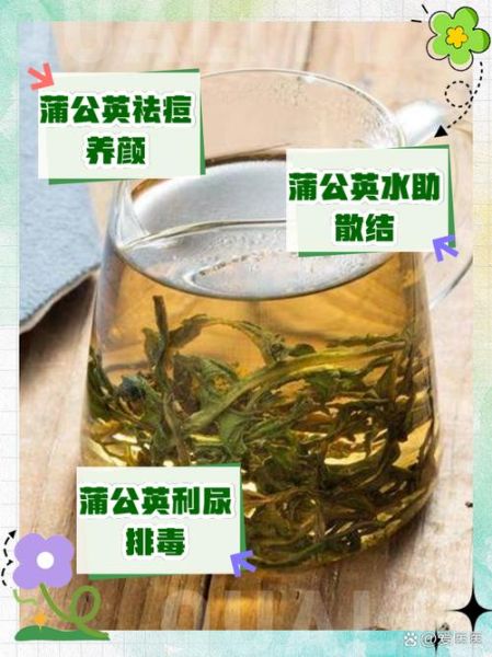 长期喝干蒲公英水好吗_蒲公英水副作用-第1张图片-山城妙识