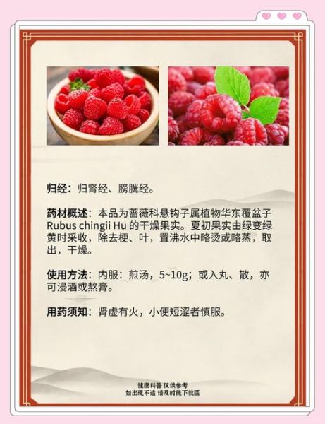 覆盆子对女性子宫的功效_覆盆子能调理子宫吗-第2张图片-山城妙识 覆盆子对女性子宫的功效_覆盆子能调理子宫吗-第2张图片-山城妙识