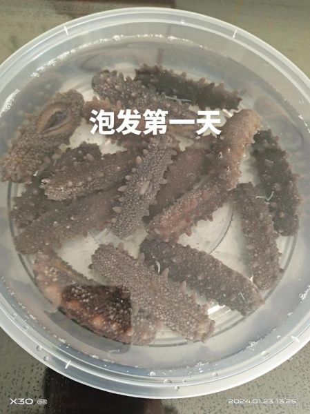 盐干海参怎么泡发_盐干海参泡发多久-第3张图片-山城妙识 盐干海参怎么泡发_盐干海参泡发多久-第3张图片-山城妙识