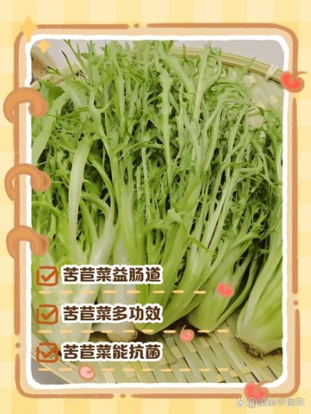 苦苣菜生吃还是焯水_哪个更健康-第3张图片-山城妙识 苦苣菜生吃还是焯水_哪个更健康-第3张图片-山城妙识