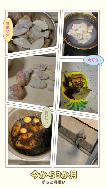 电饭煲盐焗鸡翅怎么做_盐焗鸡翅用粗盐还是细盐-第3张图片-山城妙识 电饭煲盐焗鸡翅怎么做_盐焗鸡翅用粗盐还是细盐-第3张图片-山城妙识