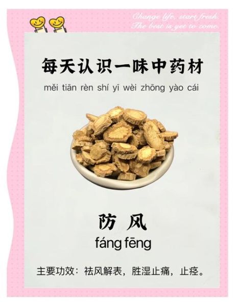 防风的功效与作用及用量_防风一天吃多少克-第1张图片-山城妙识 防风的功效与作用及用量_防风一天吃多少克-第1张图片-山城妙识