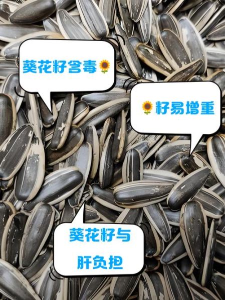 长期吃葵花籽的害处_葵花籽吃多了有什么坏处-第2张图片-山城妙识 长期吃葵花籽的害处_葵花籽吃多了有什么坏处-第2张图片-山城妙识