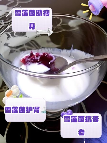 雪莲菌泡牛奶的正确方法_雪莲菌牛奶发酵多久-第3张图片-山城妙识 雪莲菌泡牛奶的正确方法_雪莲菌牛奶发酵多久-第3张图片-山城妙识