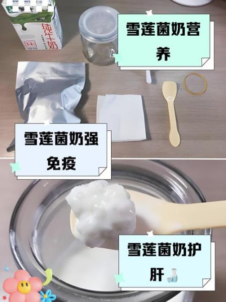 雪莲菌泡牛奶的正确方法_雪莲菌牛奶发酵多久-第1张图片-山城妙识 雪莲菌泡牛奶的正确方法_雪莲菌牛奶发酵多久-第1张图片-山城妙识