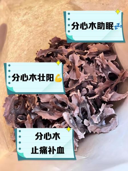 核桃分心木泡水_有什么功效与禁忌-第3张图片-山城妙识 核桃分心木泡水_有什么功效与禁忌-第3张图片-山城妙识
