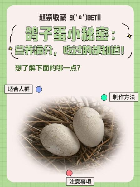 鸽子蛋怎么吃最好_鸽子蛋一天吃几个合适-第1张图片-山城妙识