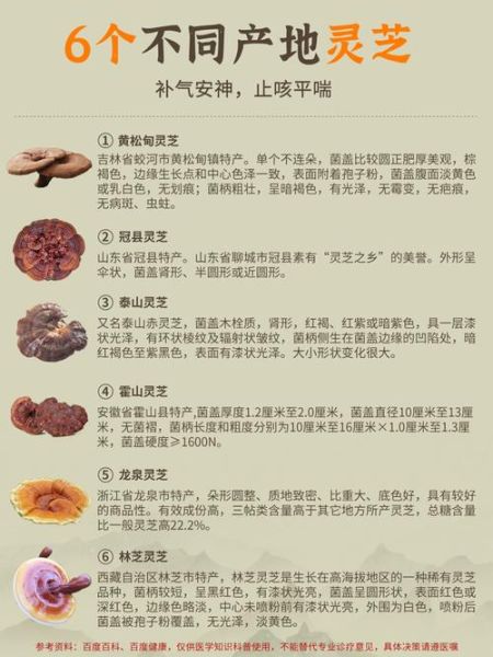 灵芝不能和什么一起吃_灵芝与哪些食物相克-第3张图片-山城妙识 灵芝不能和什么一起吃_灵芝与哪些食物相克-第3张图片-山城妙识