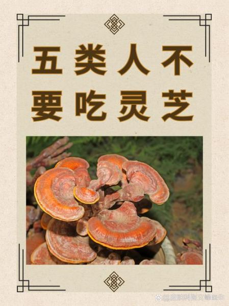 灵芝不能和什么一起吃_灵芝与哪些食物相克-第2张图片-山城妙识 灵芝不能和什么一起吃_灵芝与哪些食物相克-第2张图片-山城妙识