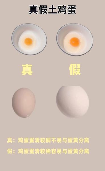 真假鸡蛋煮熟后怎么分辨_假鸡蛋煮熟后口感如何-第3张图片-山城妙识 真假鸡蛋煮熟后怎么分辨_假鸡蛋煮熟后口感如何-第3张图片-山城妙识