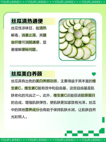 丝瓜的营养价值_丝瓜的功效与作用-第3张图片-山城妙识 丝瓜的营养价值_丝瓜的功效与作用-第3张图片-山城妙识